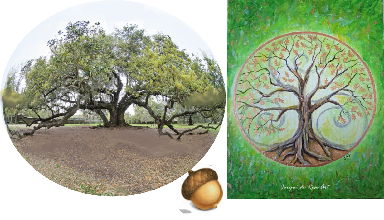 Magical Effects of Self-Esteem & Oak Trees – Grapevine Center