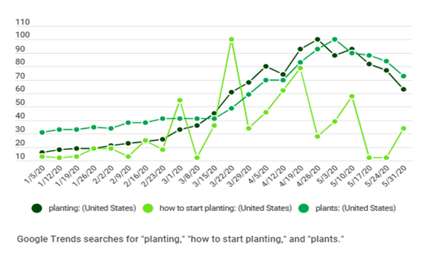 Pandemic Driven Plant-keeping Improved Mental Health – Grapevine Center